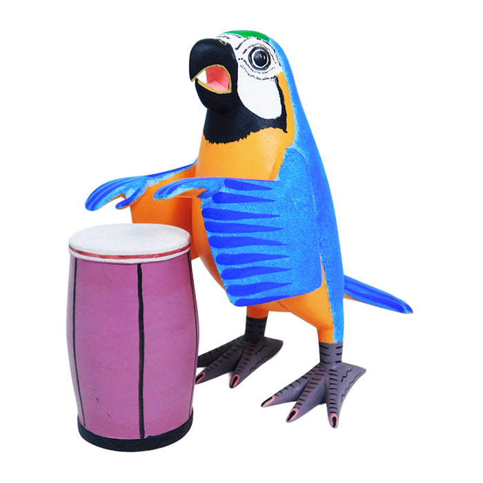 Avelino Perez: Conga Parrot Alebrije | Sandia Folk