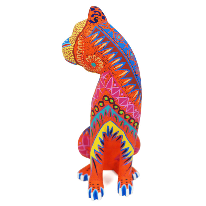 Orlando Mandarin: Cat | Sandia Folk