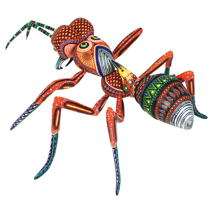 Manuel Cruz: Unique Ant | Sandia Folk