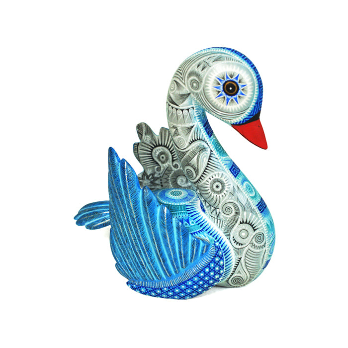 Oscar Fabian: Delicate Swan | Sandia Folk