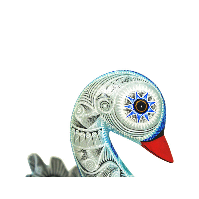 Oscar Fabian: Delicate Swan | Sandia Folk