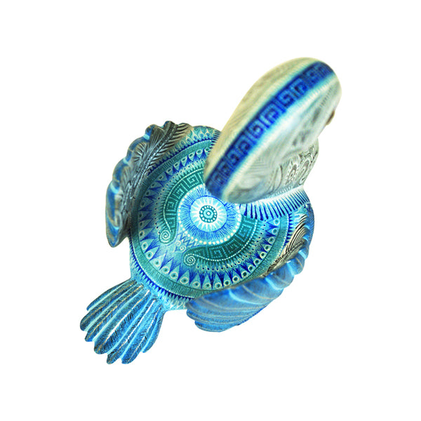 Oscar Fabian: Delicate Swan | Sandia Folk