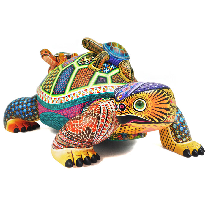 Manuel Cruz: One Piece Museum Quality Turtle & Babies | Sandia Folk