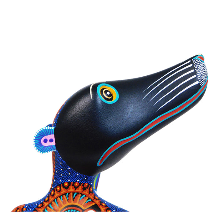 Nicolas Morales: Elegant Meerkat | Sandia Folk